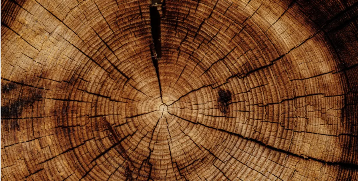 (HQ)301 North Lake Avenue, Suite 950 Pasadena, CA 91101 +1 (626) 544-0279